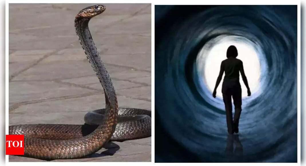 From seeing snakes to death: Common dreams and what they mean as per ...