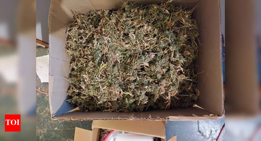 Excise officials seize 6,000 kg ganja across Telangana last year - The ...