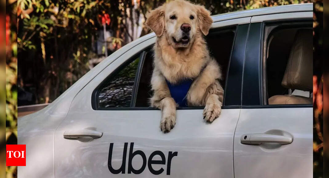Uber announces 'Uber Pet' in Mumbai: Now Travel hassle-free with your ...