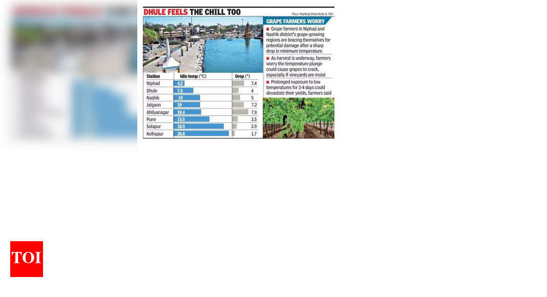 Niphad logs season’s lowest at 4.2°C in temp turnaround | Nashik News ...
