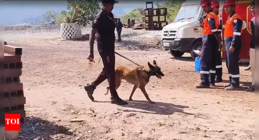 T govt flies in two Army dogs to trace 8 trapped workers | Hyderabad ...