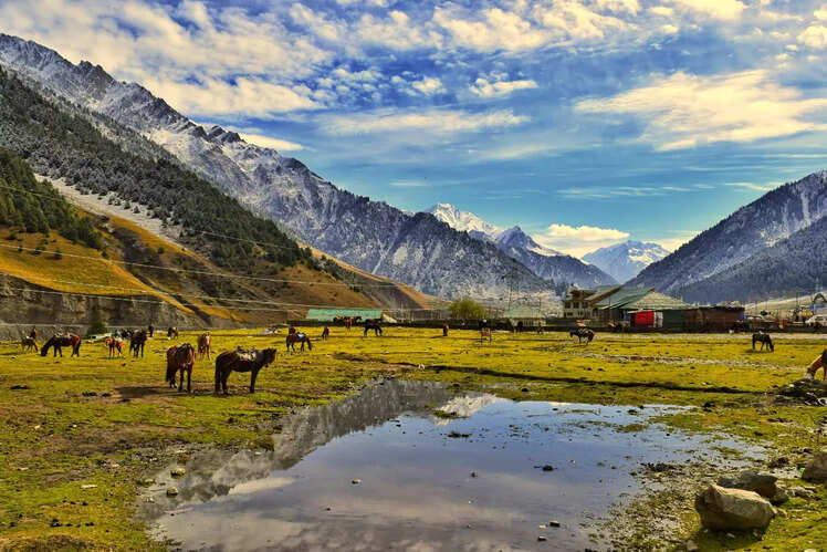 Spring destinations in Kashmir that will leave you speechless | Times ...