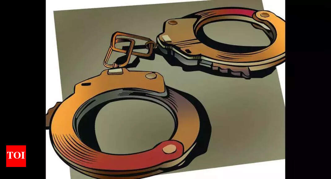 Three red sanders smugglers nabbed in Badvel forest area - The Times of ...