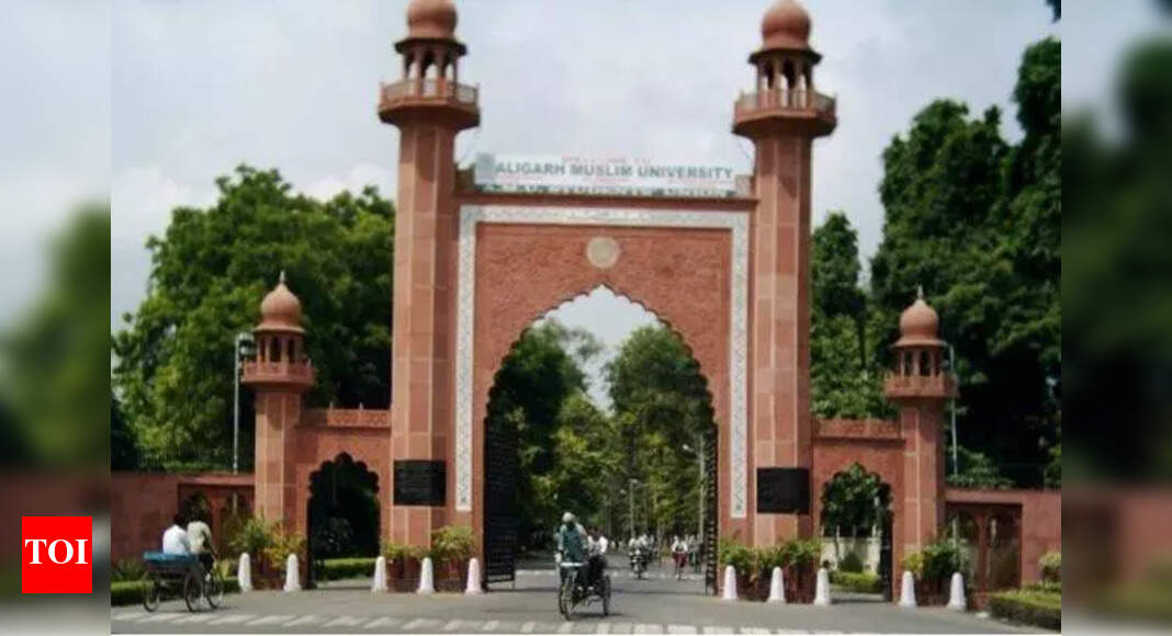No Holi ban on campus: AMU after row | Agra News - The Times of India