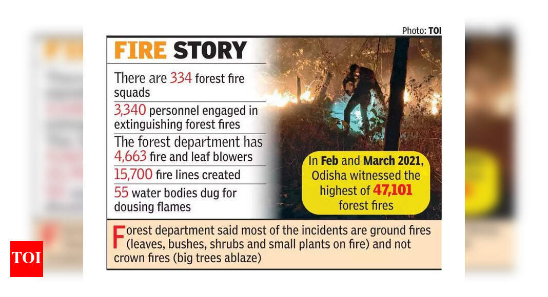 State reports 728 forest fires as mercury rises | Bhubaneswar News ...
