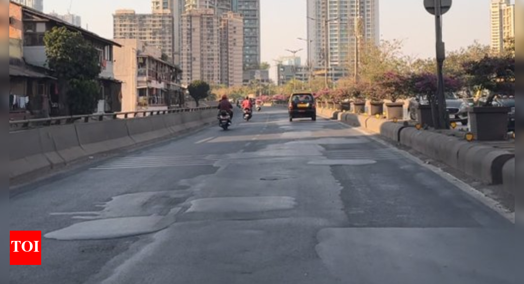 Viral post on X seeks urgent repairs to Mumbai's Lalbaug flyover ...