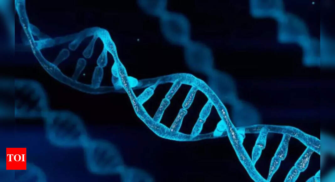 LaCONES study reveals climate’s impact on primates | Hyderabad News ...