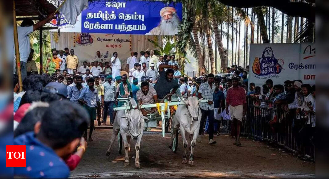 Tamil Thembu Festival: Rekla race held at Isha - The Times of India