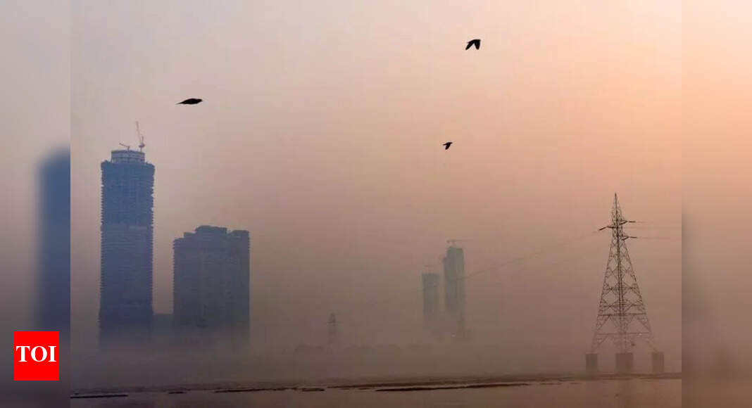 Stubble burning contributed 10.6% to Delhi’s PM2.5 levels in late 2024: Centre’s data ...