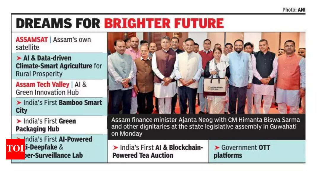 With Rs 2.6L-cr budget, Assam launches satellite plans, green & AI ...