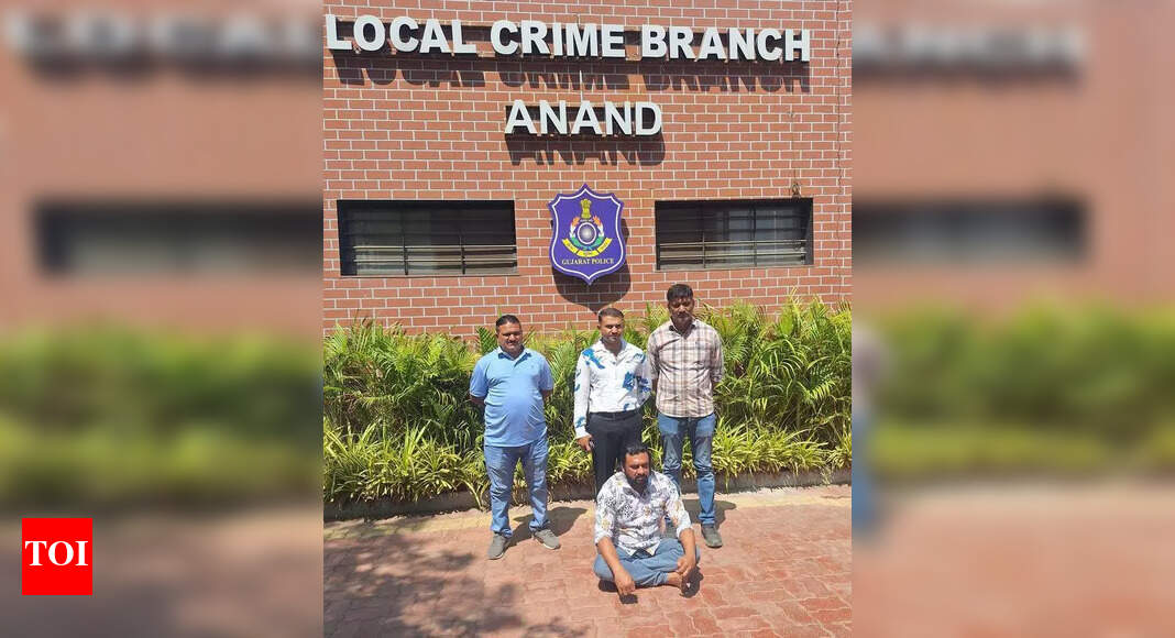 Man arrested in Anand for celebratory firing | Vadodara News - The ...