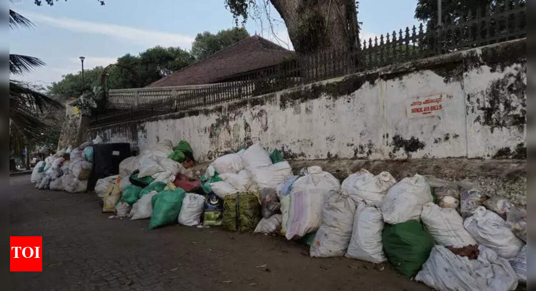 Waste piles up in places declared garbage-free | Kochi News - The Times ...