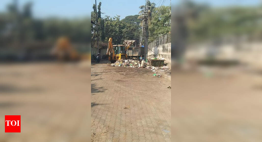 GMC places flower pots across city to stop open waste dumping ...