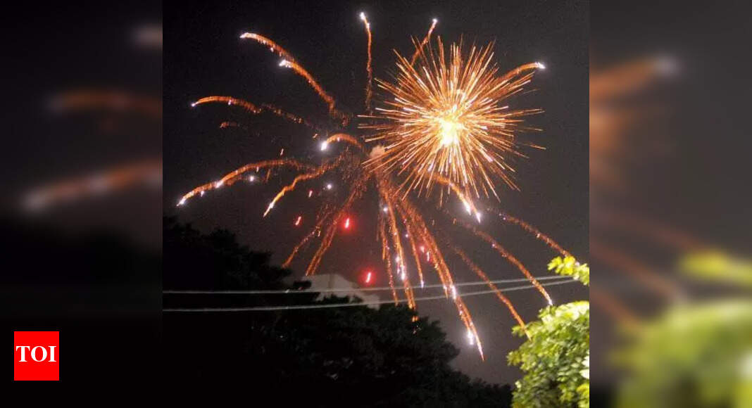 One more case filed for illegal fireworks display at Maradu Kottaram ...