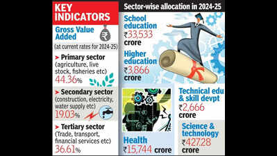MP Economic Survey: Ease of life & biz, but a pinch here & there ...