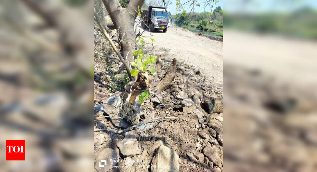 Greens report illegal tree trimming at Mula river rejuvenation site in ...