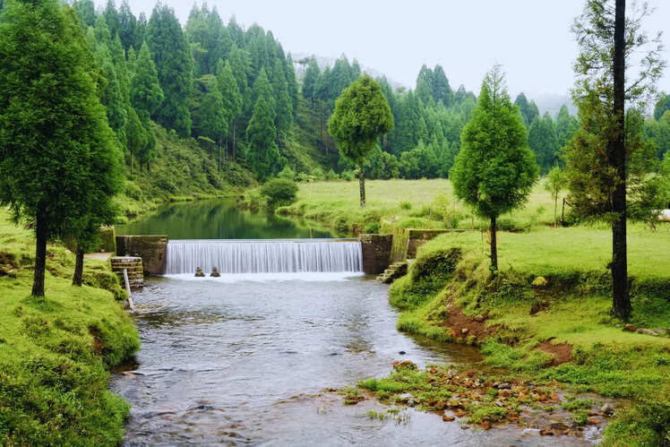 Indian hill getaways that turn magical in spring season | Times of ...