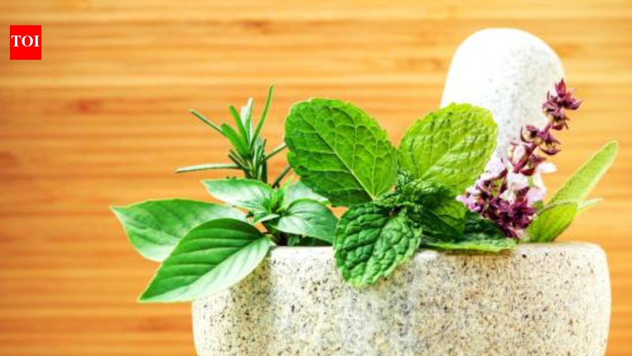 8 natural herbs that can curb arthritis pain