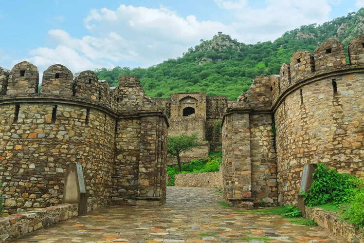 5 things that make Sariska Tiger Reserve an offbeat wildlife gem ...