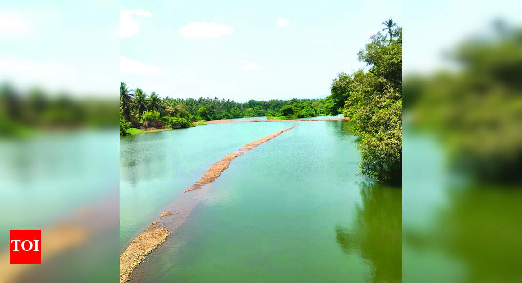 Amthane dam gate repairs in last week of May when water levels dip ...