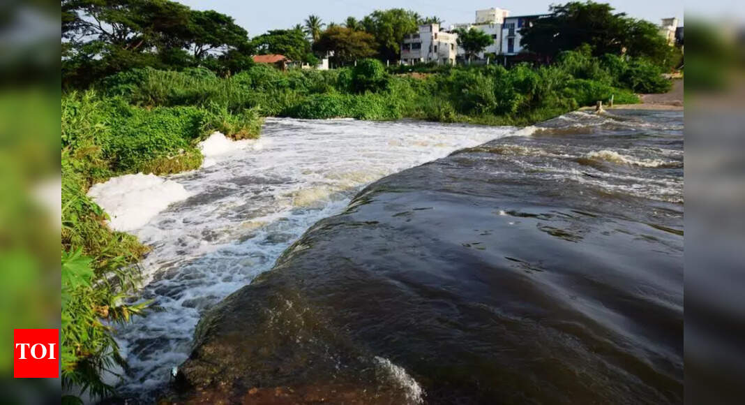 TN budget: Noyyal river restoration project gets a boost | Coimbatore News - The Times of India