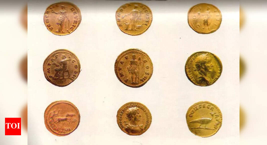 TN govt to excavate Vellalore and seven more sites in 2025-26 ...