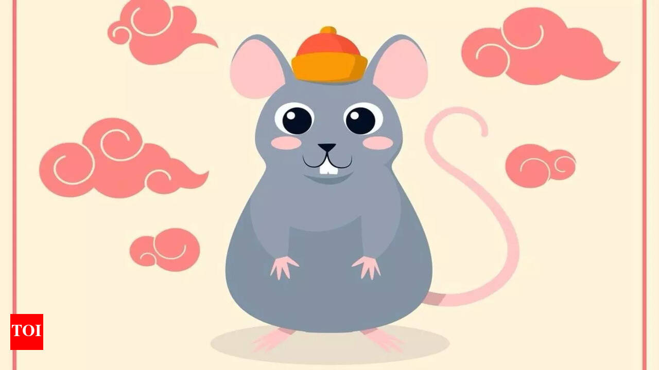 Rat cancer zodiac 60 photos - Astrologytoyou.com