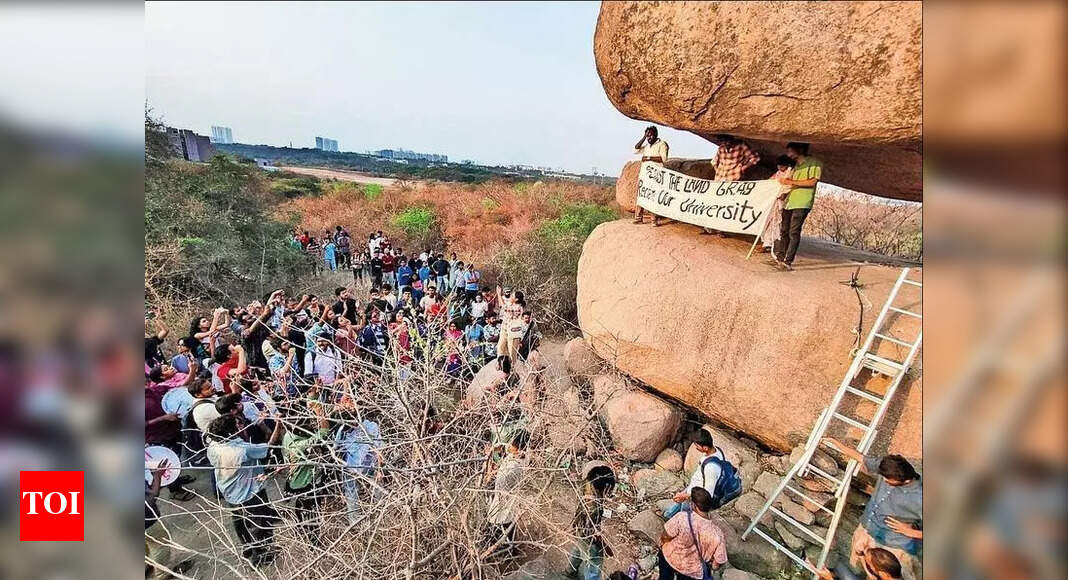 Calls for clarity grow amid Kancha Gachibowli auction | Hyderabad News ...