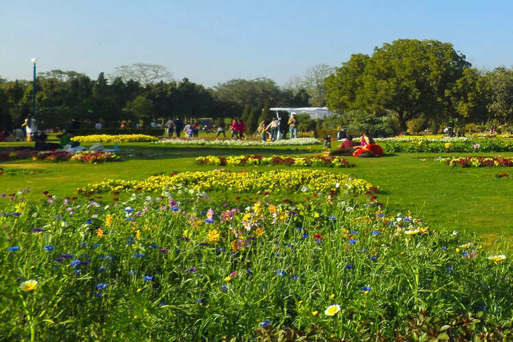 Spring in Delhi: 6 must-visit parks and gardens this season | Times of ...