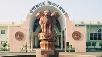 Chhattisgarh assembly to intensify scrutiny on NGO-facilitated ...