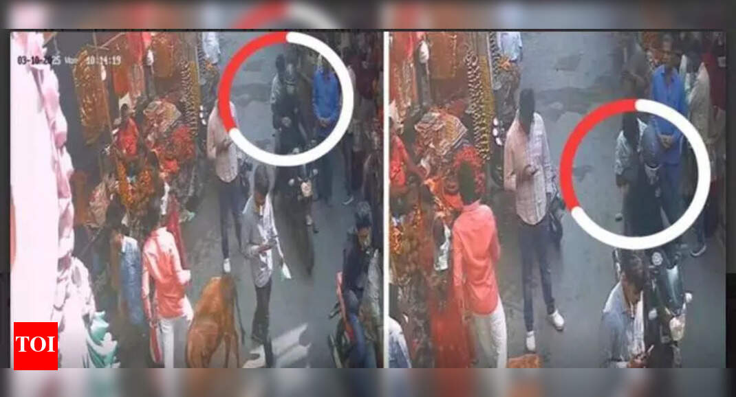 Ara jewellery heist: Accused seeks goddess’s blessing before committing ...