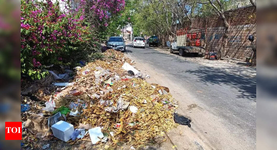 As Swachhta survey team arrives, cleanliness drive revs up | Jaipur ...