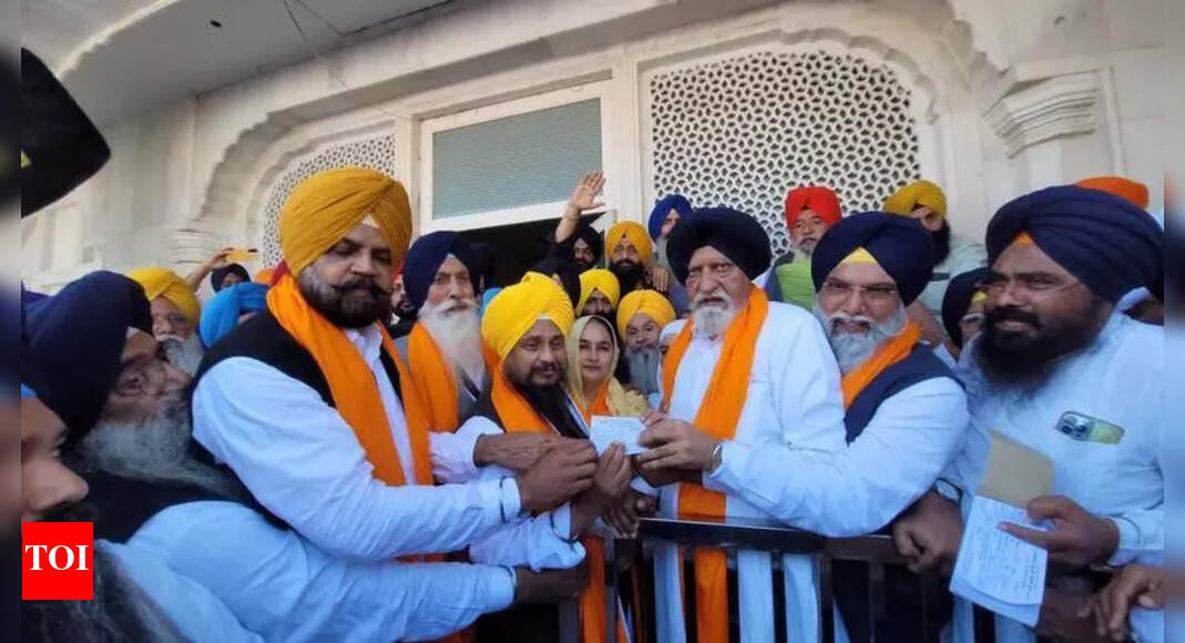 Akal Takht panel launches SAD enrolment drive | Chandigarh News - The Times of India