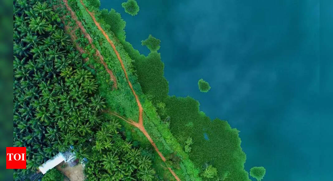 Coimbatore’s Avinashi Road elevated corridor to go green | Coimbatore ...