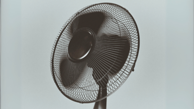 Summer Must-Have: The Best Pedestal Fans to Stay Cool and Comfortable ...