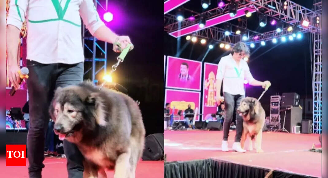 Bengaluru breeder invests Rs 50 crore in the world’s rarest hybrid dog ...