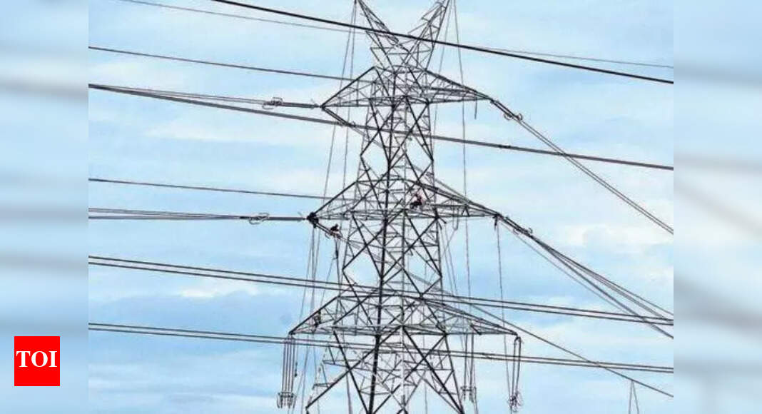 Jaipur discom loses Rs 12cr for ignoring Saubhagya scheme norms: CAG ...