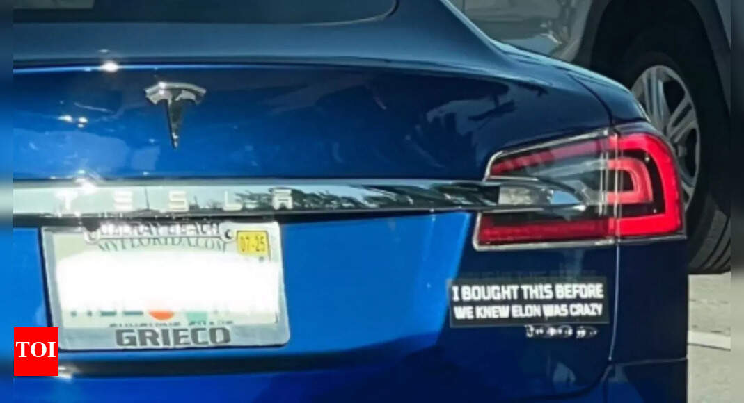 Elon Musk's Tesla faces severe backlash: Owners paste quirky stickers ...