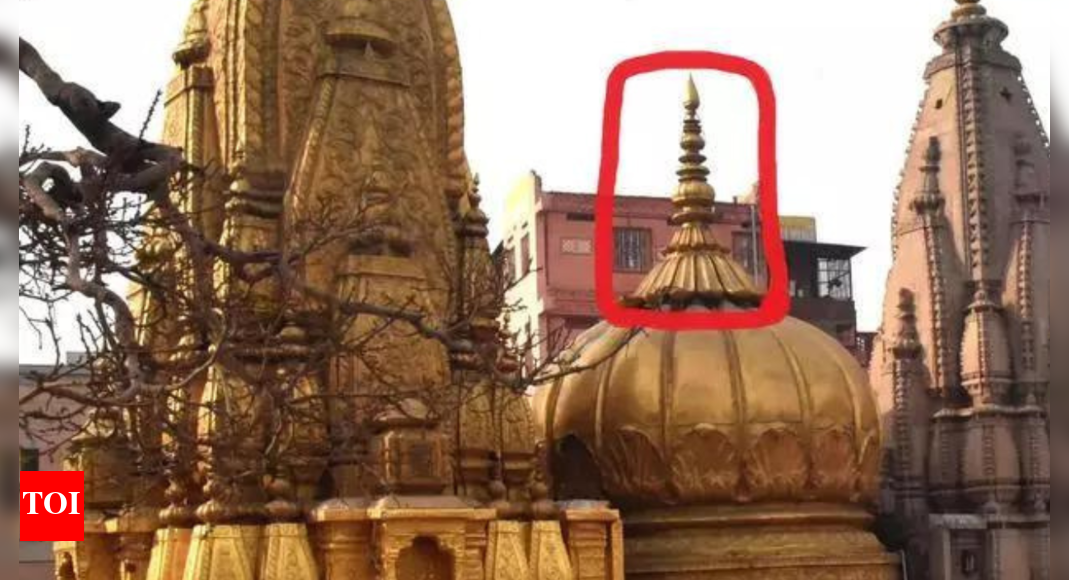 Rampaging monkeys damage 19th century golden ‘kalash’ of Kashi ...