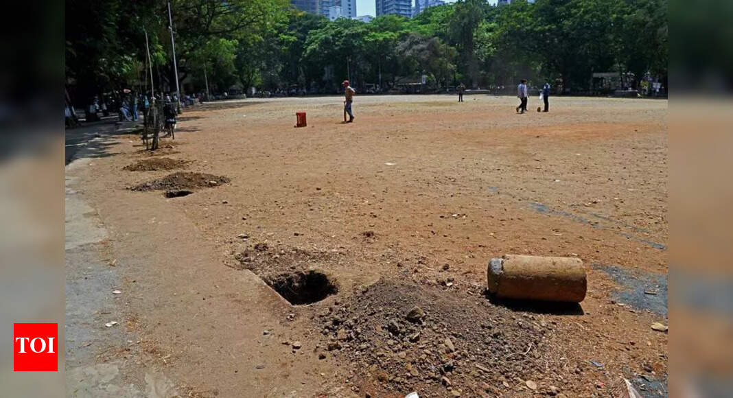 BMC holds meeting with Dadar locals over Five Gardens mesh | Mumbai ...