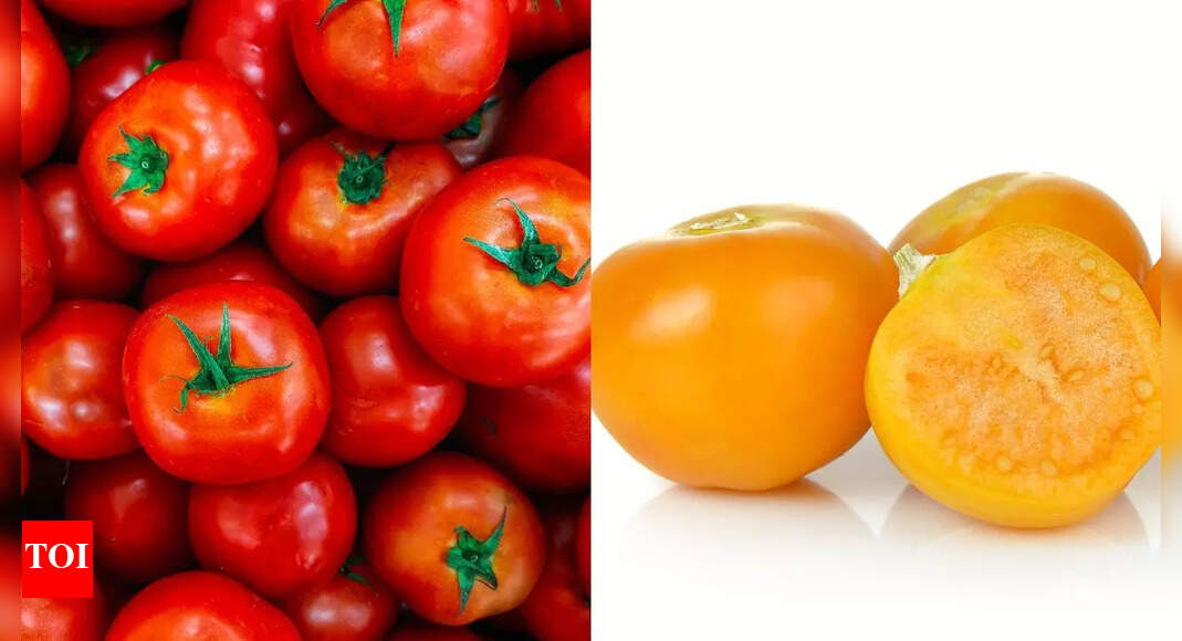 Hybrid tomatoes vs. desi tomatoes: Which is better for health and ...
