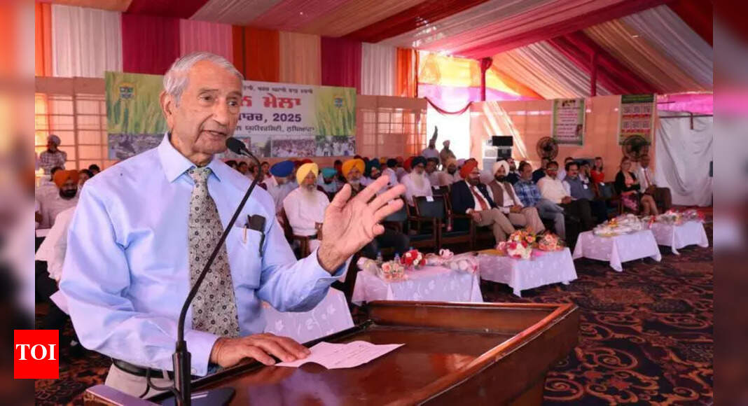Shift to water-wise farming for Punjab’s future: World Food Prize ...