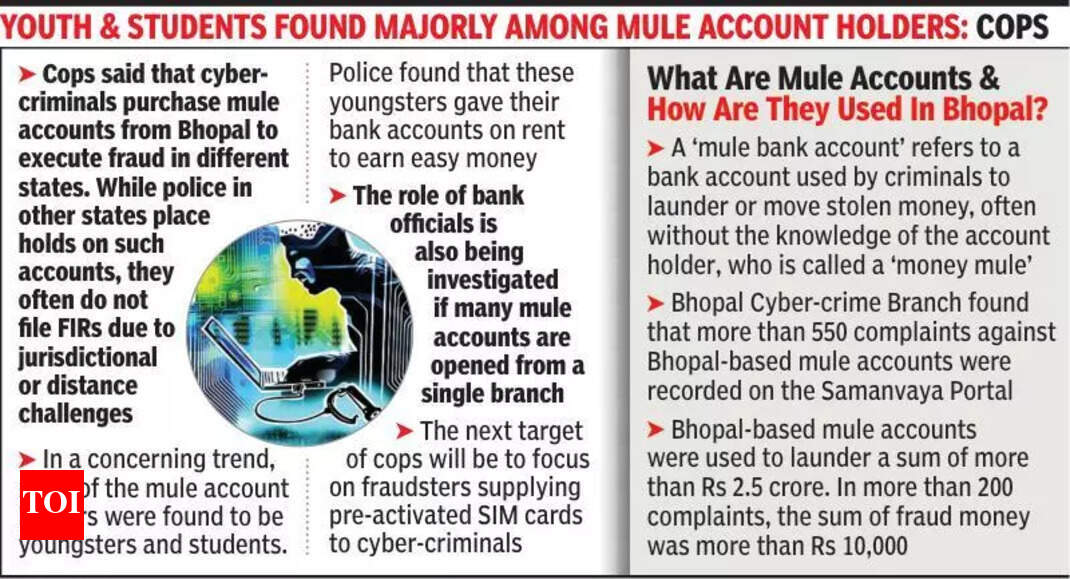 On back of ‘mule accounts’ & rackets, city emerges as cyber-crime hub ...