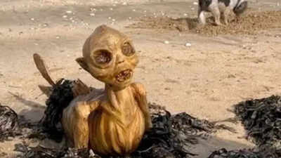 Bizarre sea ‘skeleton’ stuns UK beach visitors—what is it? - The Times ...