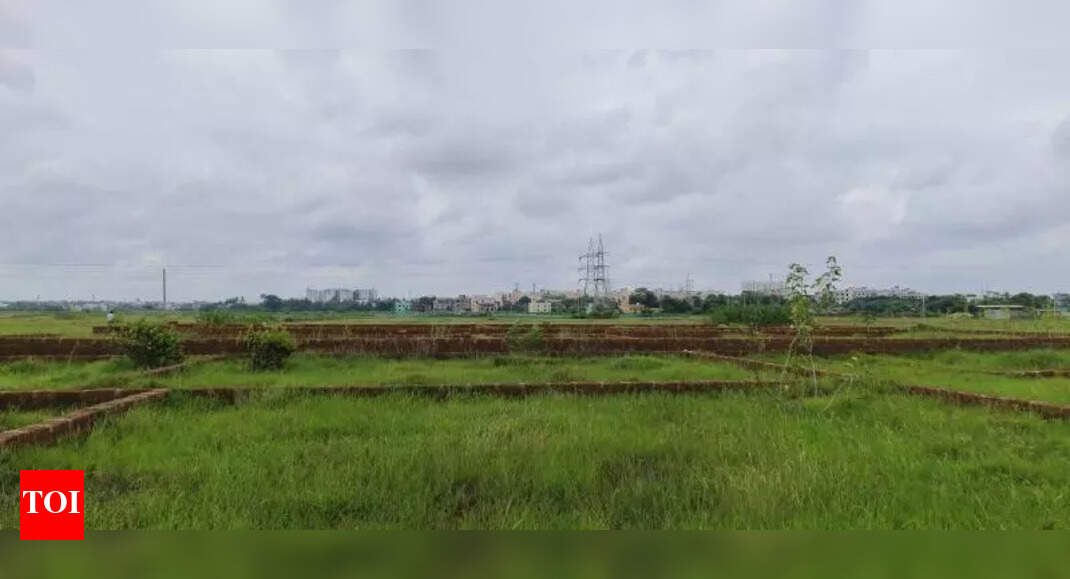 Khurda admn lens on illegal plot registrations | Bhubaneswar News - The Times of India