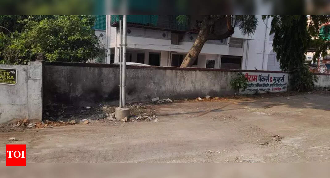 How ‘Dumping Wall’ Fell To Green Army’s Art Canvas | Nagpur News - The ...