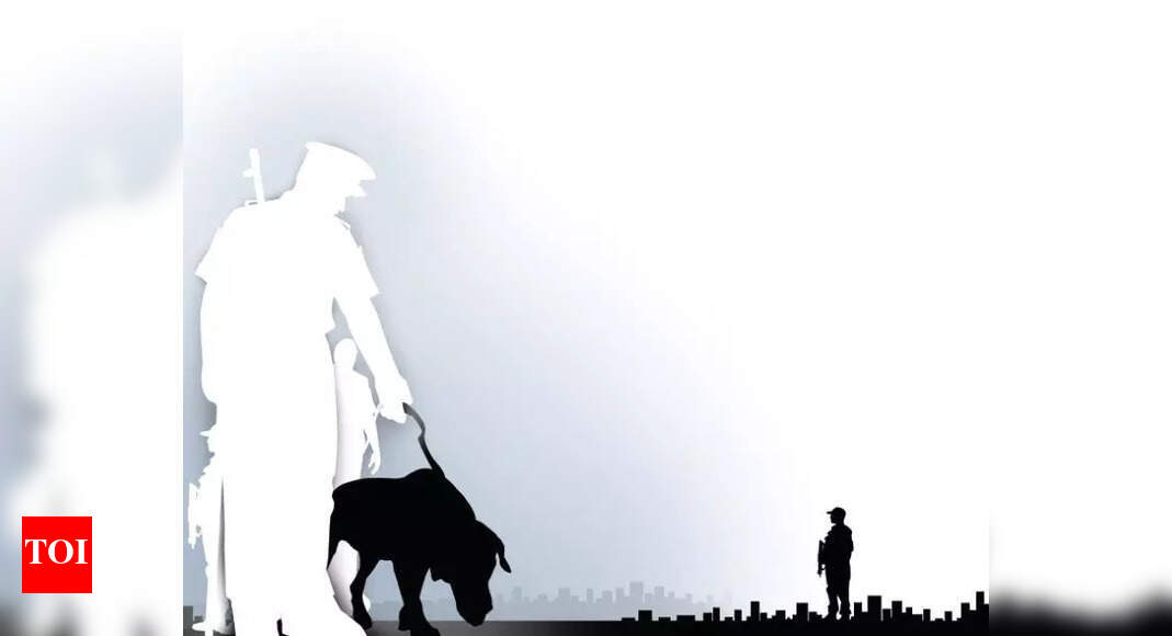 Police dog uncovers 7.5kg of ganja hidden under fodder | Hubballi News ...