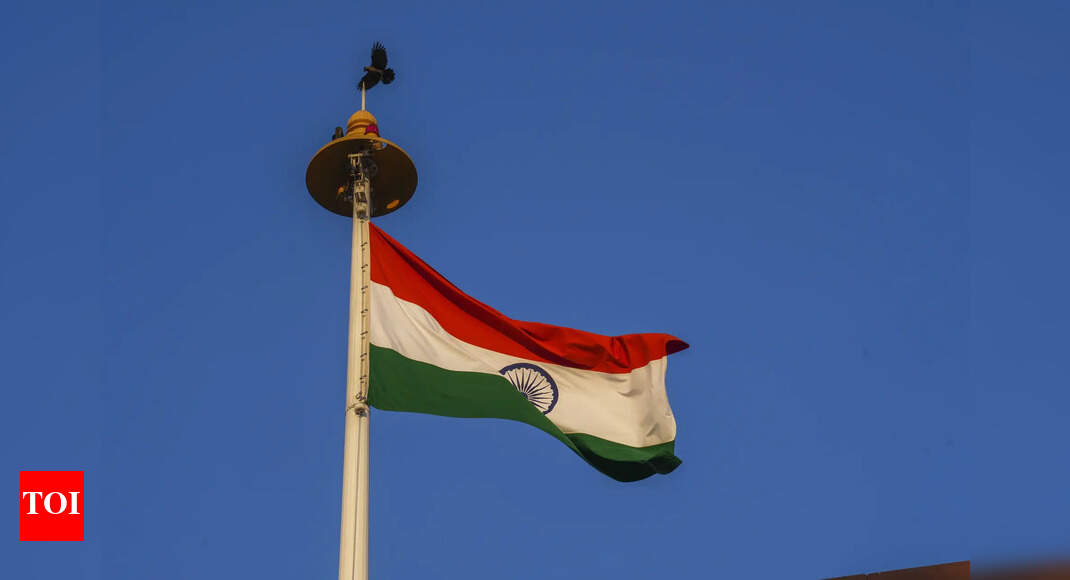 60 years on, Colva panchayat seeks own flagpole | Goa News - The Times ...