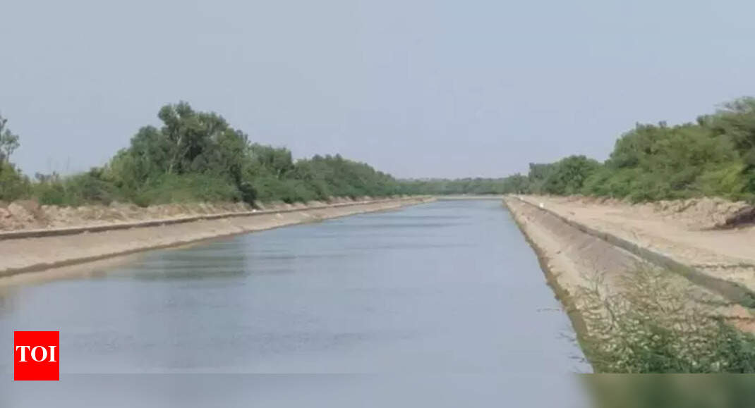 Indira Gandhi Canal closure to impact water supply in 12 dists | Jaipur ...