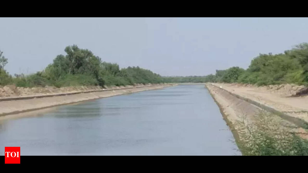 Indira Gandhi Canal Life Breaks In The Indira Gandhi Canal